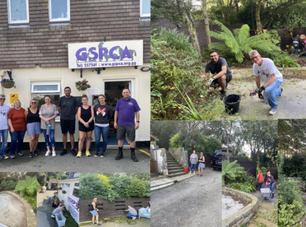 Huge thanks to RBS staff for helping out at the GSPCA – GSPCA Celebrating 150 years | GSPCA Guernsey
