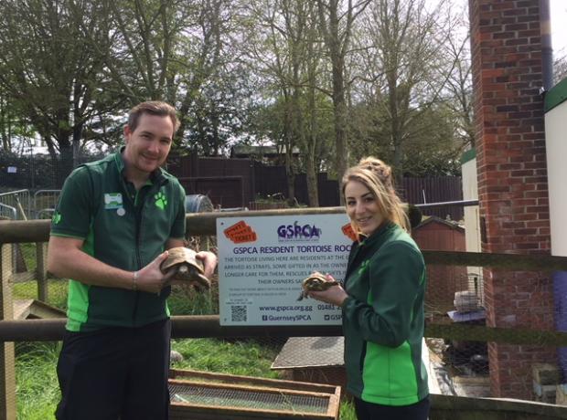 Pets at Home & Support Adoption for Pets help the GSPCA with a ...