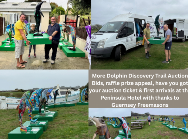 More Dolphin Discovery Trail Auction Bids, raffle prize appeal, have ...