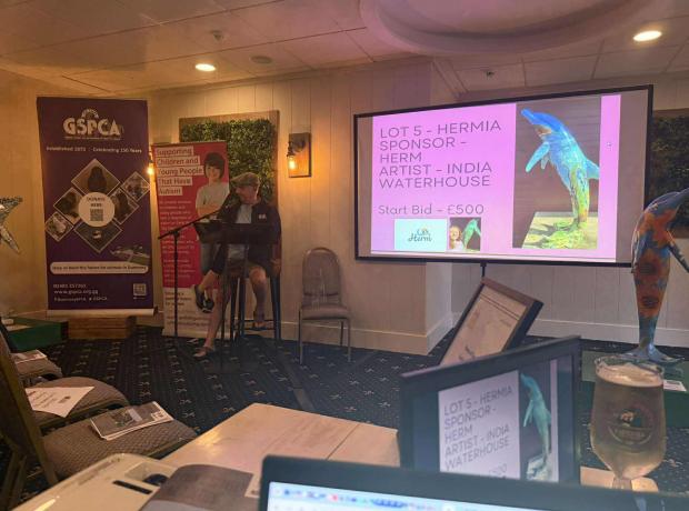 Over £80,000 Raised at Dolphin Discovery Trail 2025 Auction for GSPCA ...