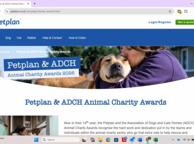 Celebrating Compassion: Vote for the GSPCA at the ADCH & Petplan ...
