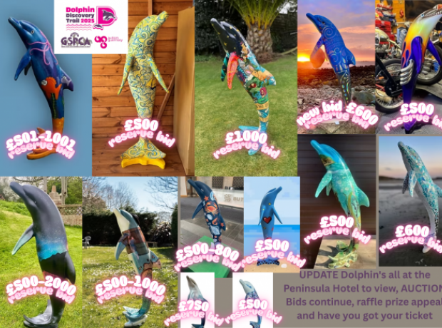 UPDATE Dolphin's all at the Peninsula Hotel to view, AUCTION Bids ...